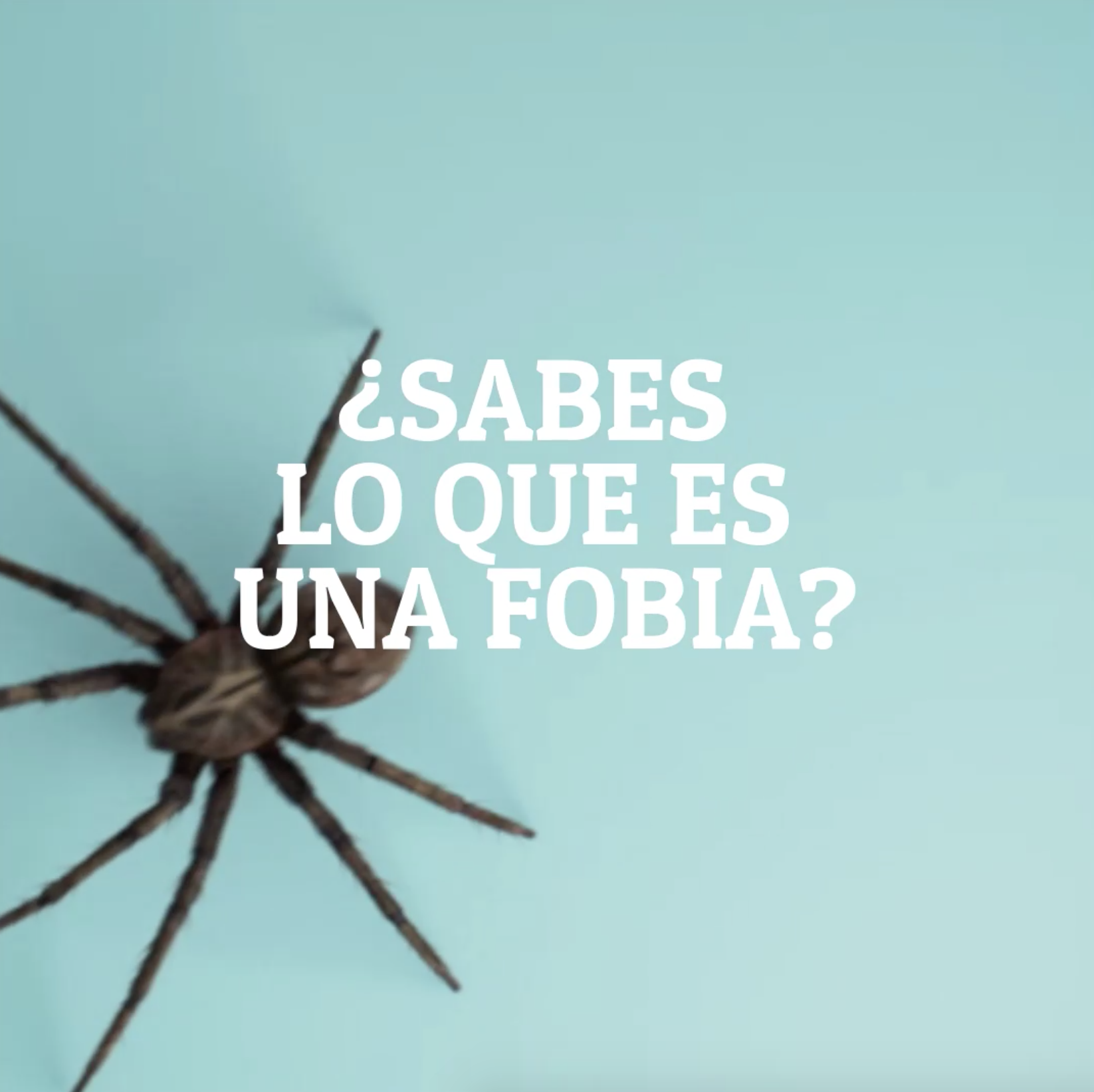 Fobia: el problema de ansiedad más común y fácil de superar. - CIDEPS